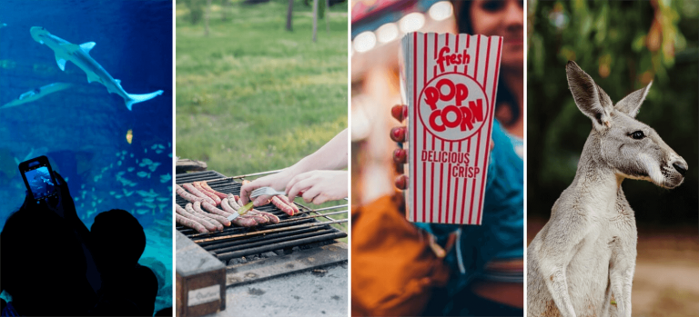 Home - The Community Collective Qld