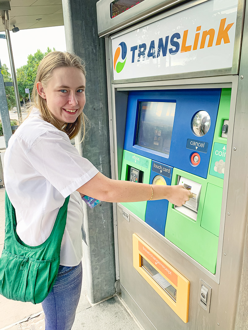 Capacity Building - The Community Collective Qld